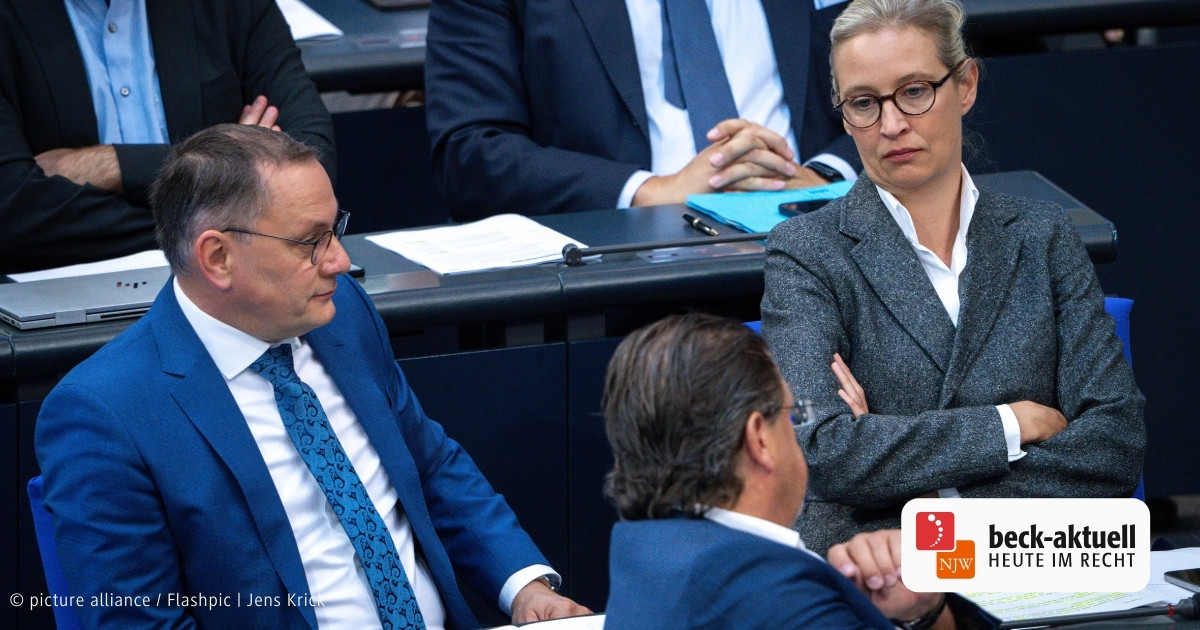 AfD-Verbotsverfahren: Zu groß, um sie zu verbieten?